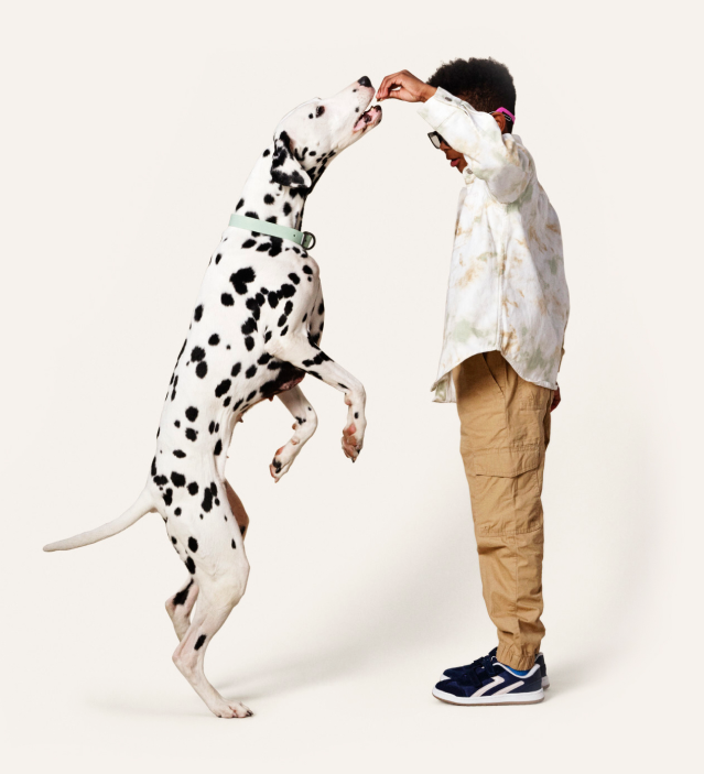 VetBox | Pet-Friendly, Quality Subscription For Flea & Tick Prevention ...